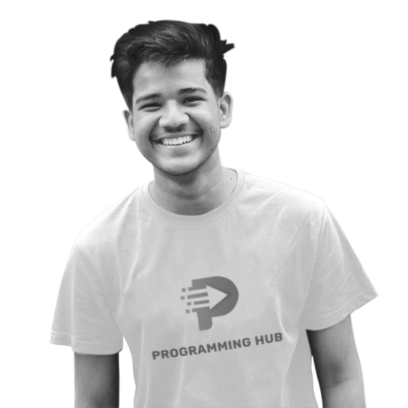 Learn Programming, Coding Online - Programming Hub